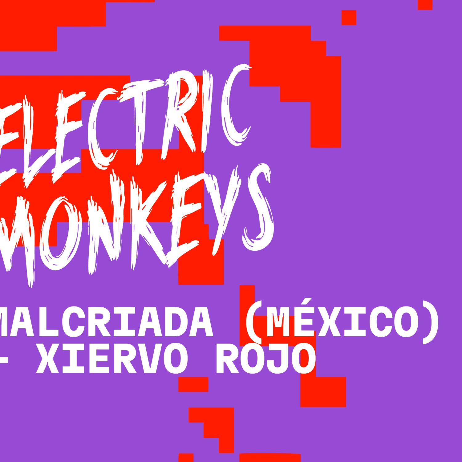 ELECTRIC MONKEYS 2025: Feria Gráfica. Malcriada (México) + Xiervo Rojo - LA USINA