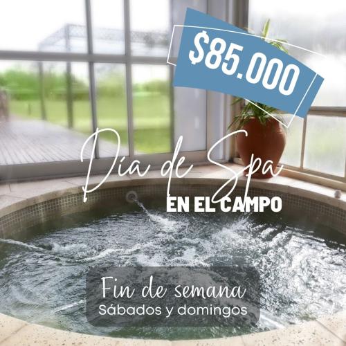 Domingo 26 de Octubre | DÍA DE SPA | ¡Reservá sólo con el 50% de seña ...
